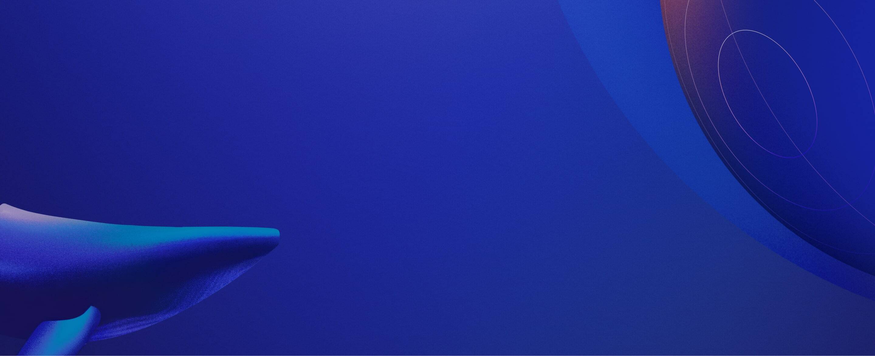 The Whalebone Experience: A Structured and People-Centered Workplace