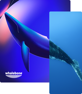 Whalebone | About us