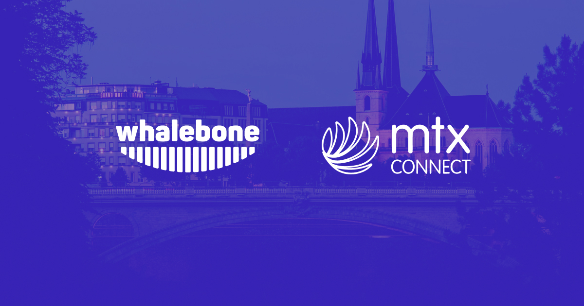 MTX Connect Launches NetProtect in Collaboration with Whalebone