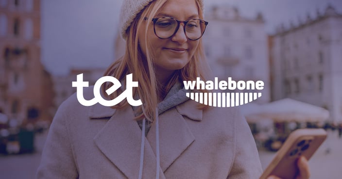 TDC Erhverv and Whalebone Launched a New Security Solution for SMB ...