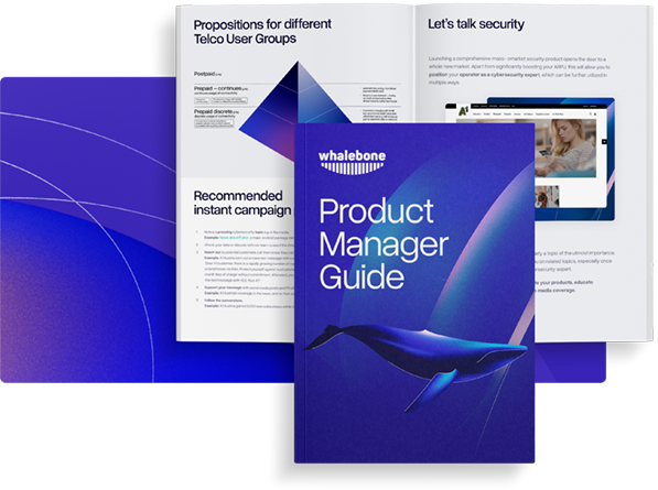 Telco Product Manager's Roadmap to Success