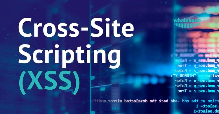 What is cross-site scripting (XSS) and how to stop it using protective DNS