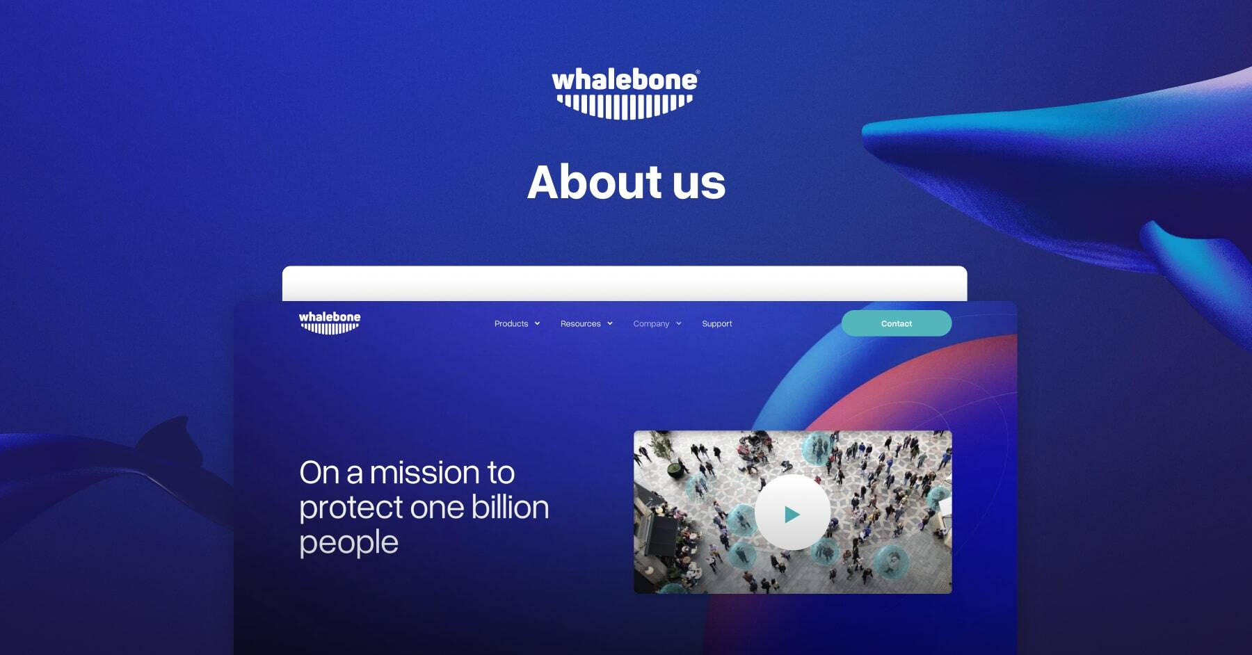 Whalebone | About us