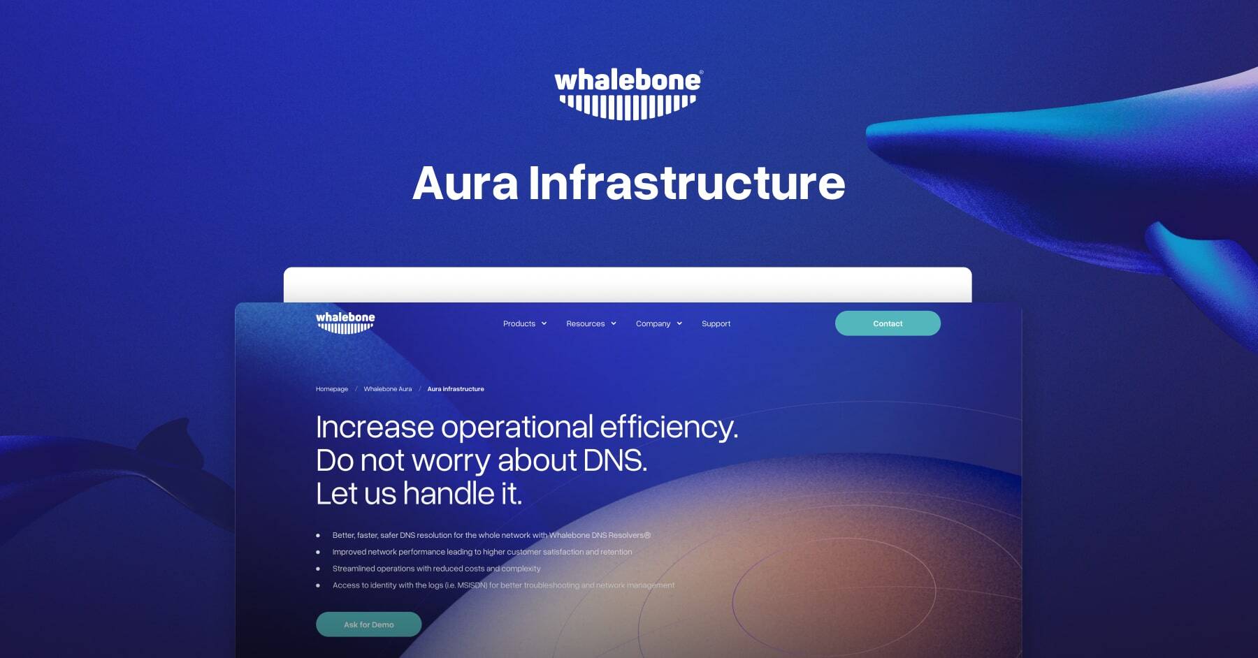 Whalebone Aura Infrastructure