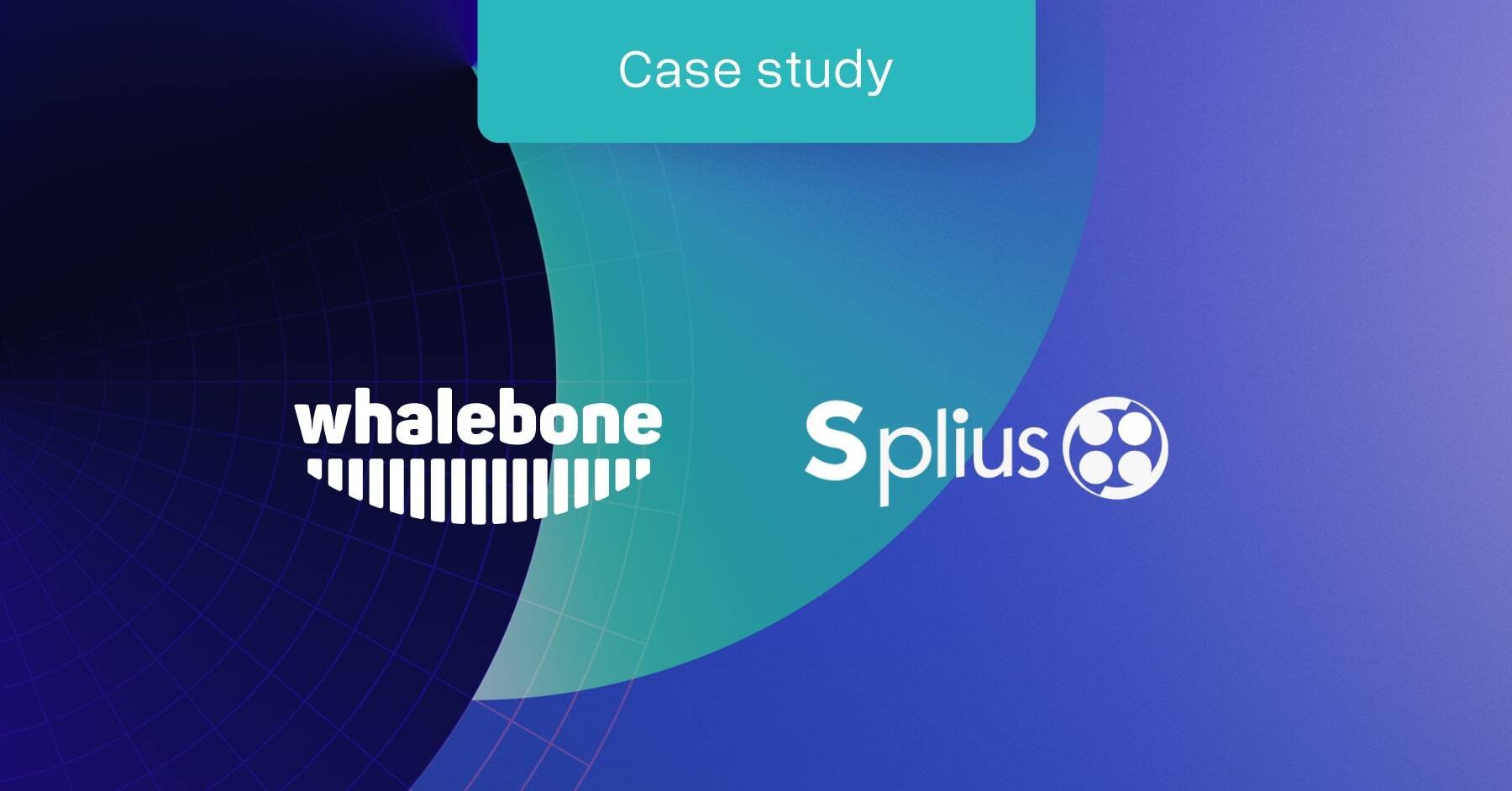 Growing Splius's revenue through security service with 40% trial-to ...
