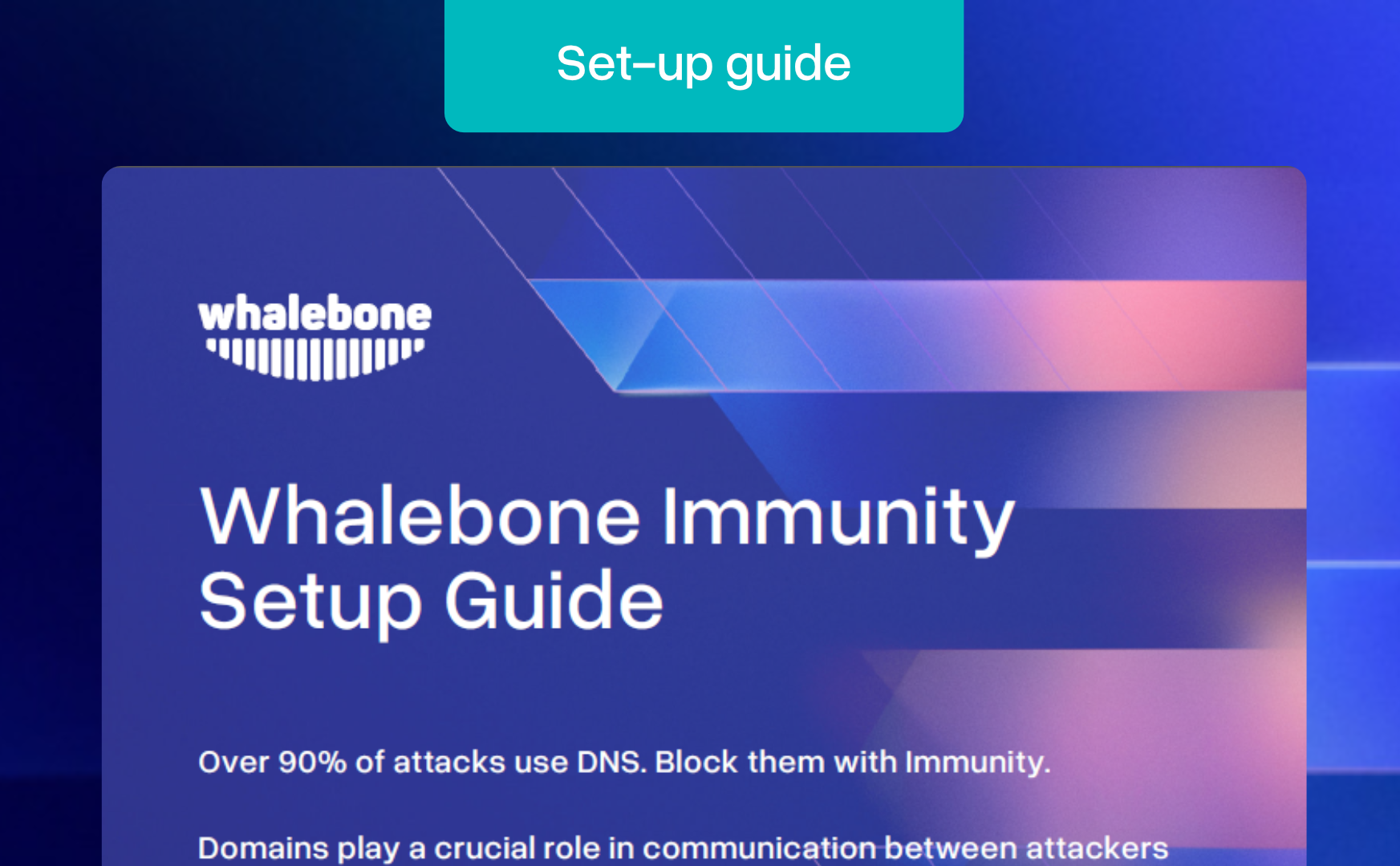 Immunity Set-Up Guide | Whalebone