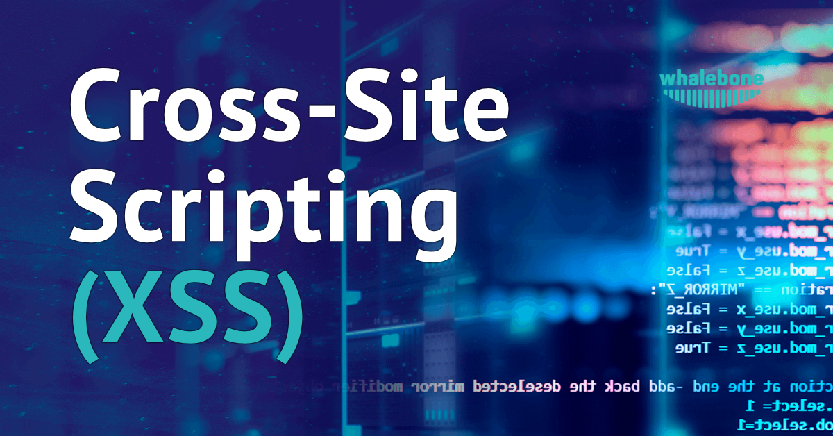 What is cross-site scripting (XSS) and how to stop it using protective DNS